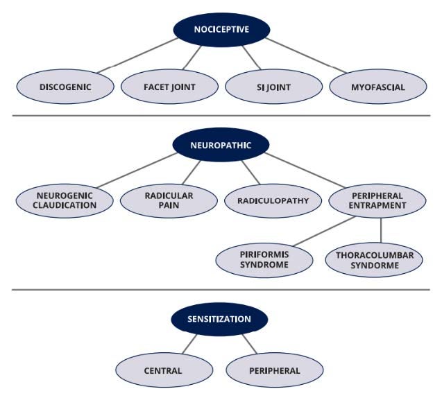 Evidence-Based Practical Diagnostic Checklist and Corresponding ...