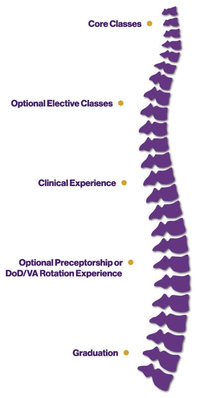 Doctor of Chiropractic Program - Palmer College of Chiropractic